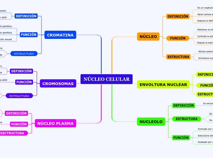 NÚCLEO CELULAR - Mind Map